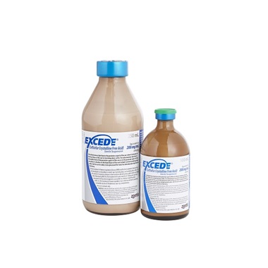 Zoetis