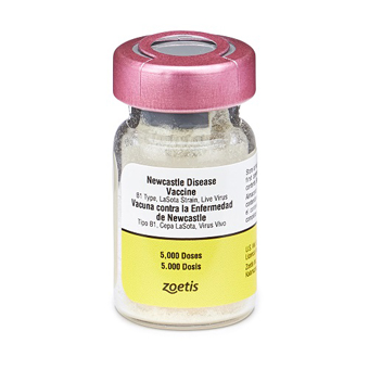 Zoetis